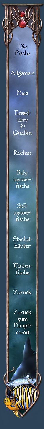 Die Fische der Immerlande