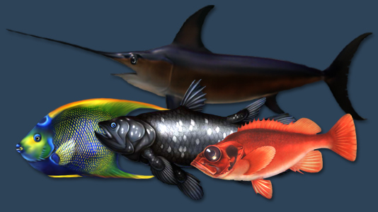 Die Fische der Immerlande