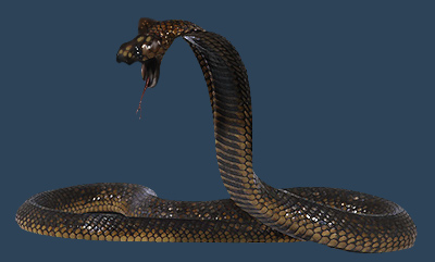 Die Reptilien der Immerlande