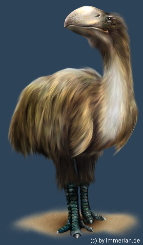 Die Vögel der Immerlande