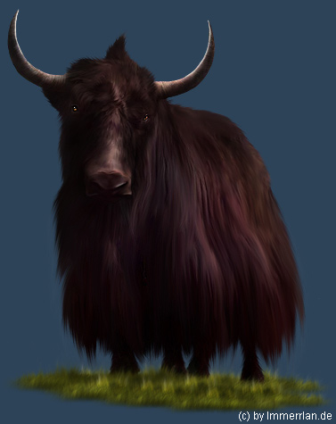 Die Wildrinder der Immerlande